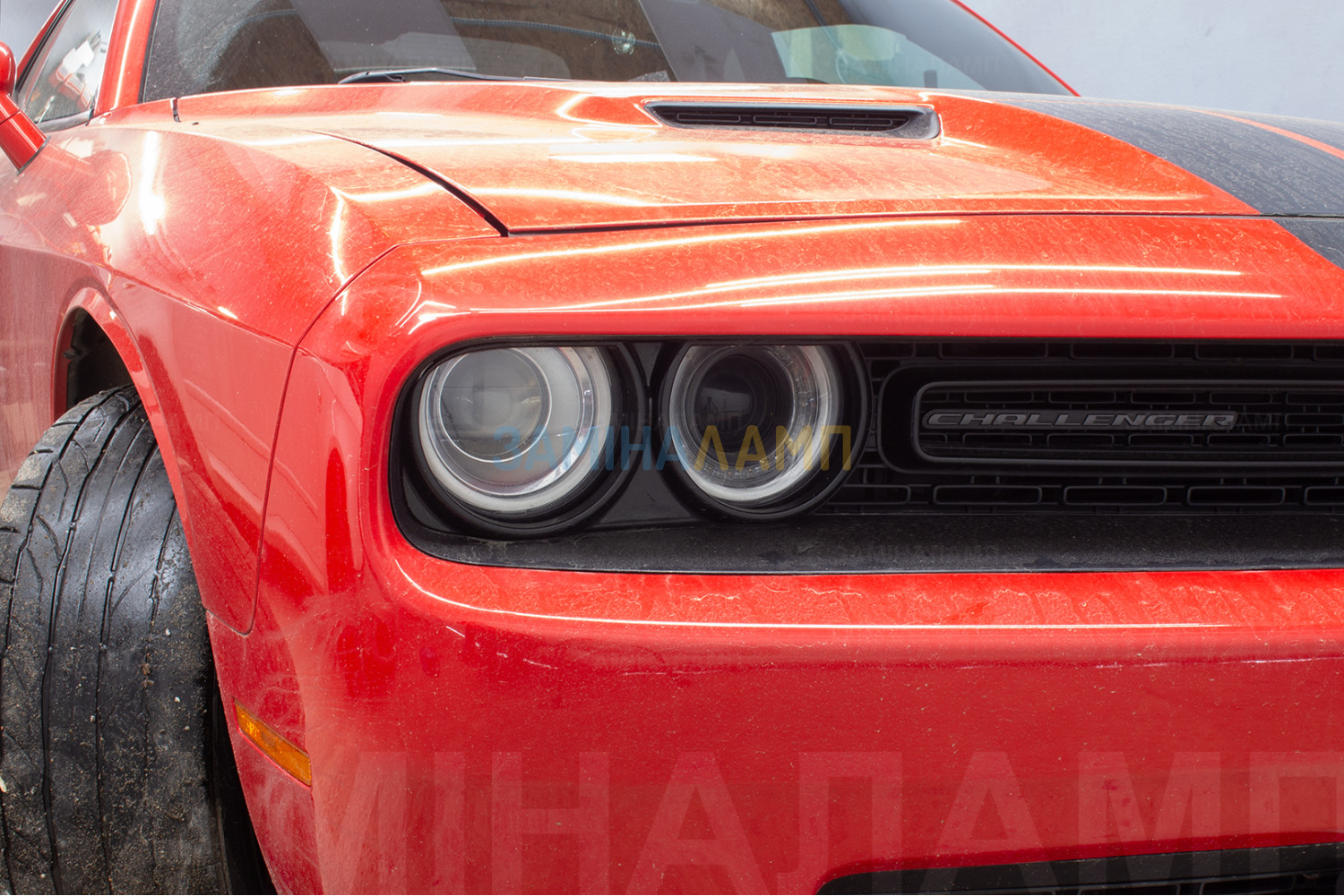 DODGE CHALLENGER заміна штатних лінз на світлодіодні лінзи Bi-Led T-Rex ...