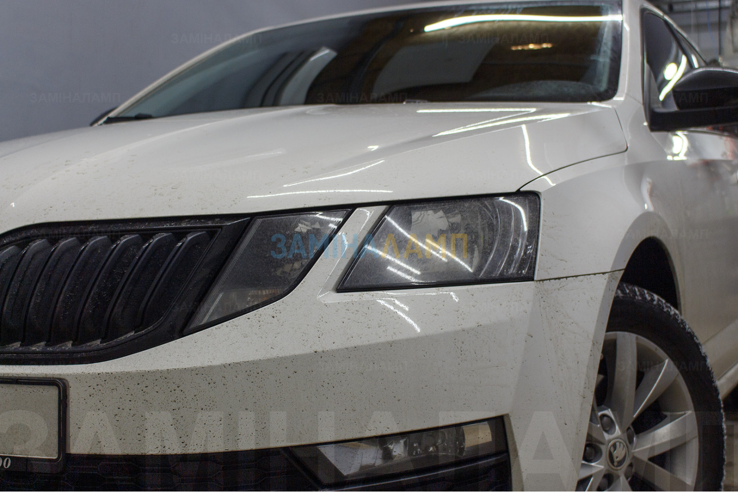 SKODA OCTAVIA A7 установка светодиодных линз Bi-Led T-Rex Pro